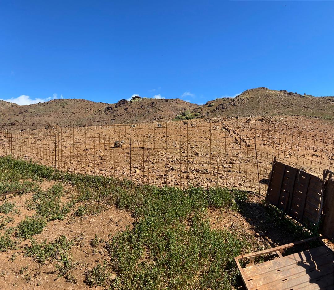 Venta de terrenos rústicos - TERRENO RÚSTICO VENTA EN LOS HOYETES (LA ...